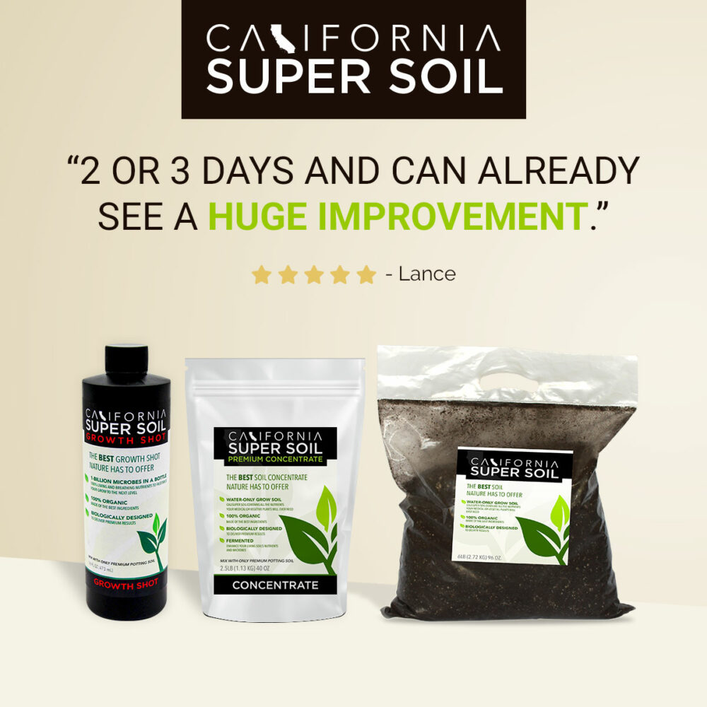 AutoFlower Super Soil Concentrate Large Selection | The Bud Grower