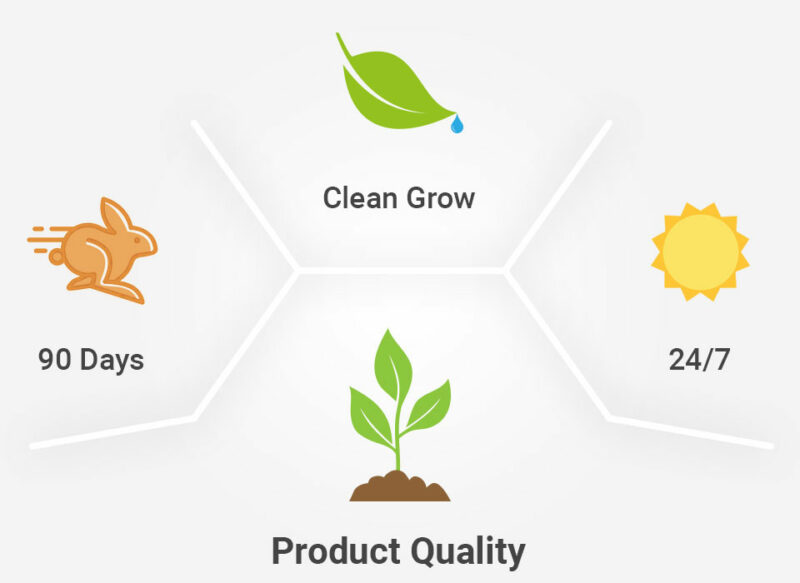Indoor Home Grow Boxes & Grow Tent Kits, Plants | The Bud Grower