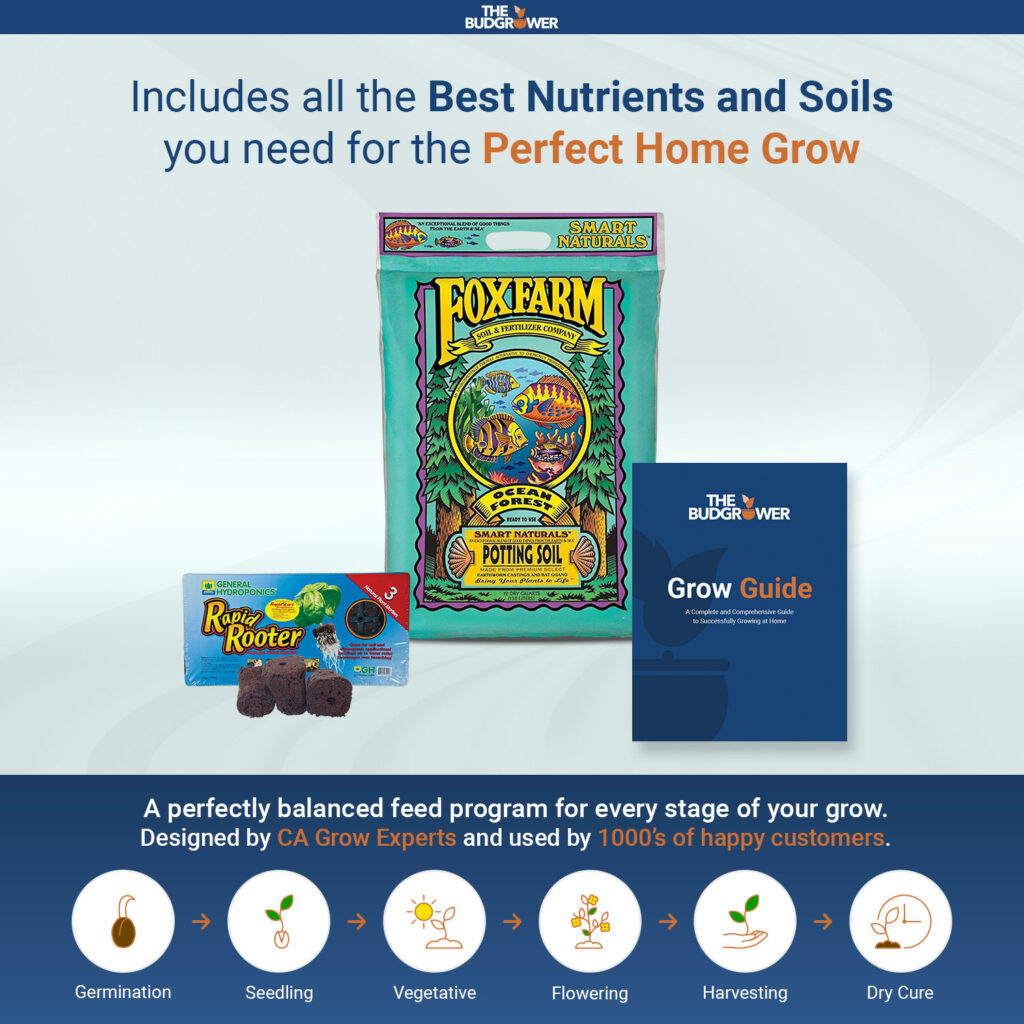 Indoor Starter Grow Kit For Beginners | Indoor Grow Tent Kit