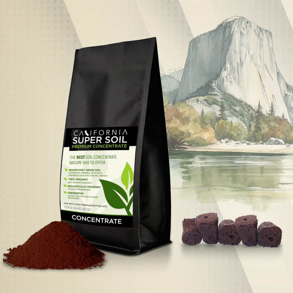 Concentrate Super Soil 5lbs: Bud Super Soil Kit | The Bud Grower