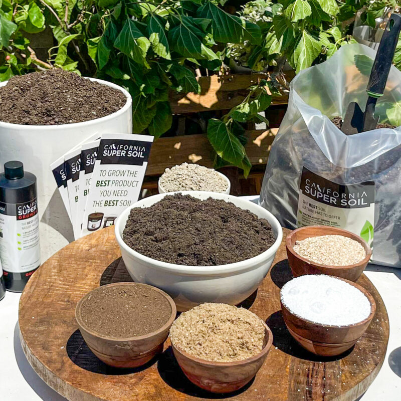 Indoor Starter Grow Kit For Beginners | Indoor Grow Tent Kit