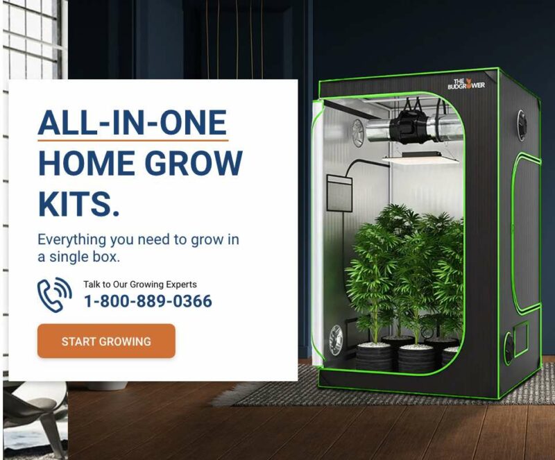 Indoor Home Grow Boxes & Grow Tent Kits, Plants | The Bud Grower