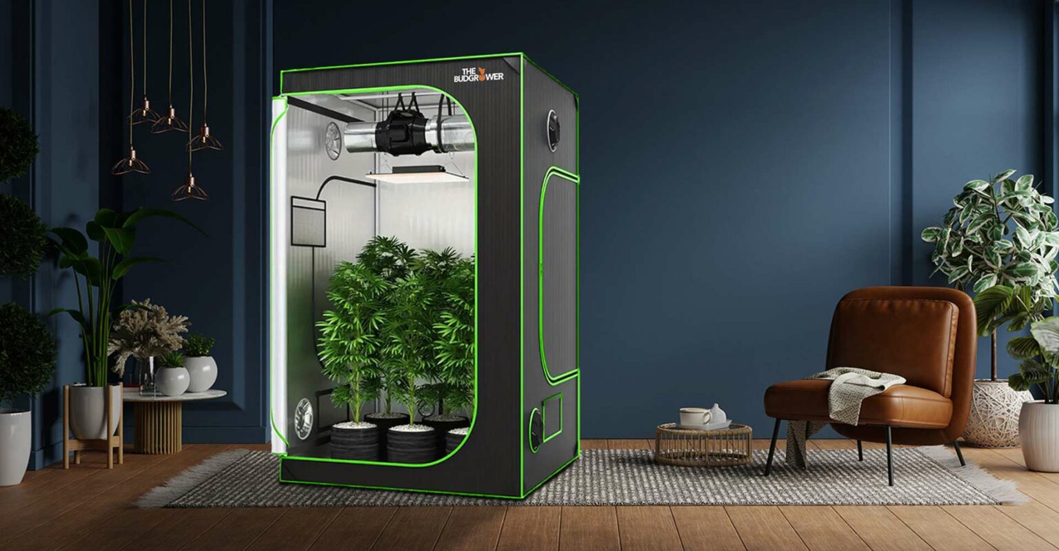 Indoor Home Grow Boxes & Grow Tent Kits, Plants | The Bud Grower
